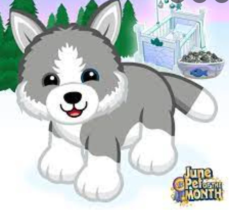 Discuss Everything About Webkinz Wiki | Fandom