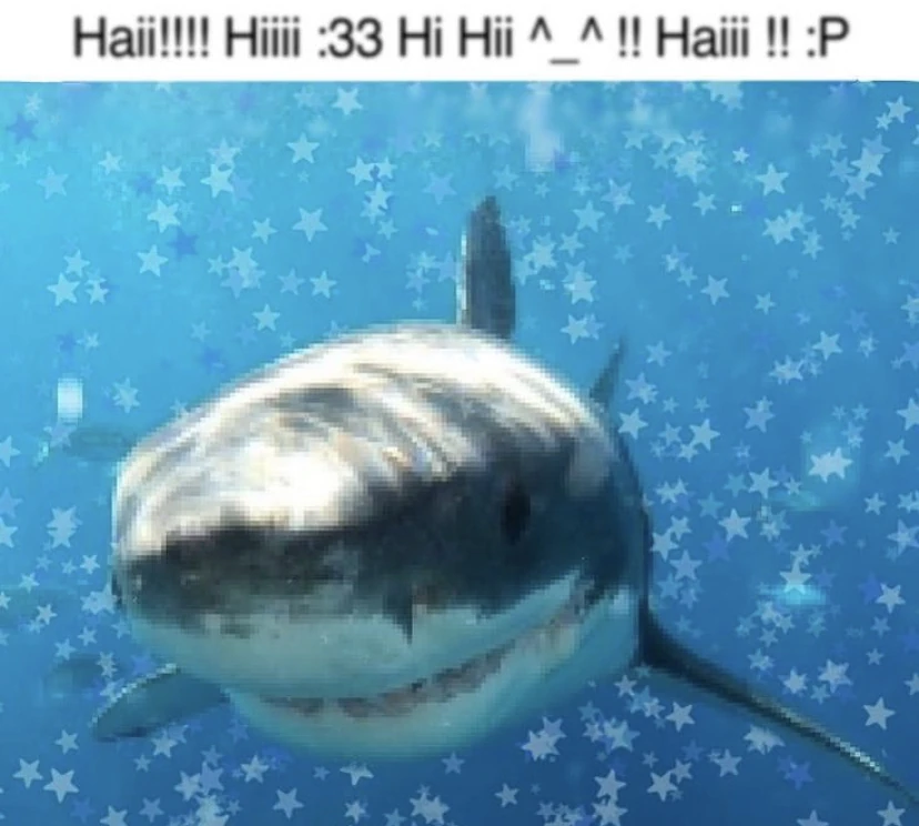 funny fish friday | Fandom