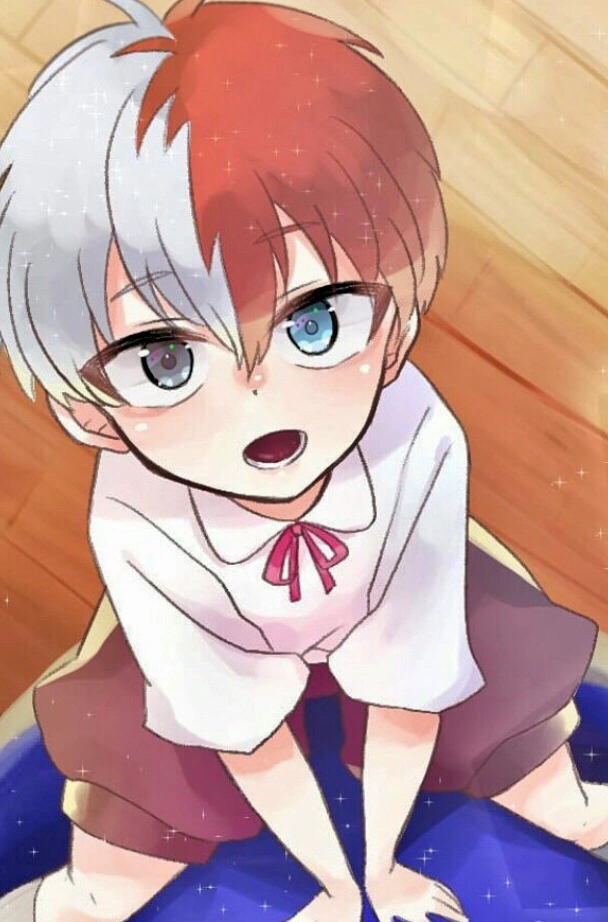 Hi am new here and my favourite is todoroki | Fandom