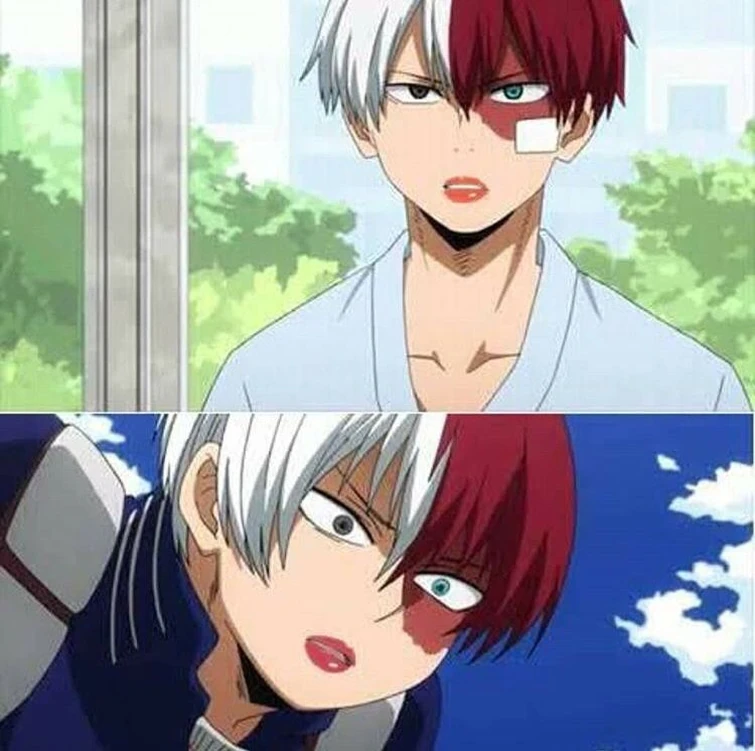 A Beautiful todoroki post | Fandom