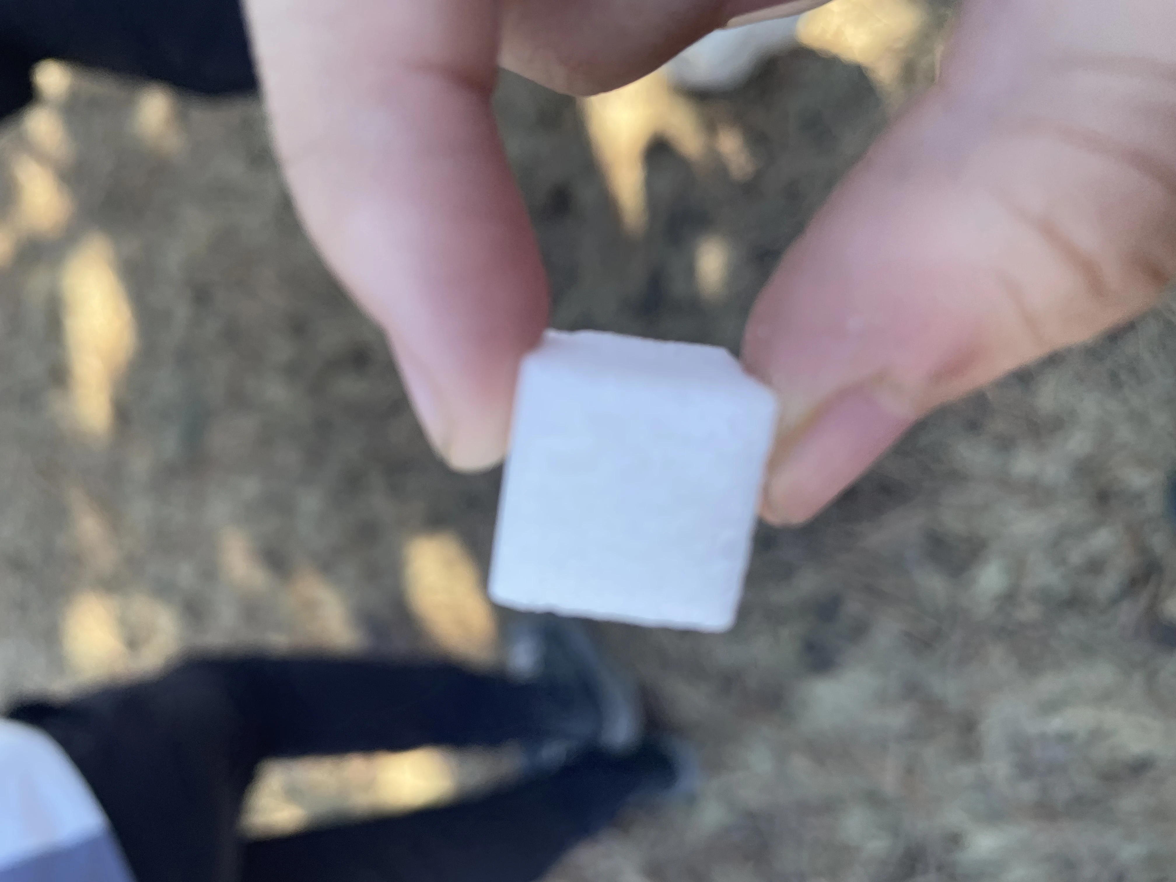 Guys it’s Sugarcube irl 🤯🤯🤯🤯🤯 | Fandom