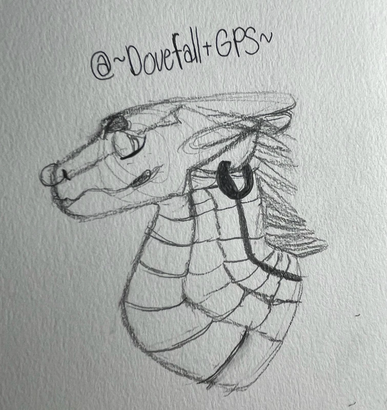 Draw Random Things