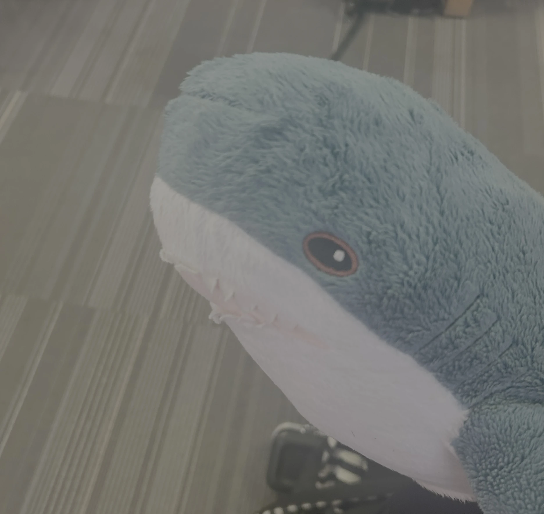 Meet Sebastian, my IKEA shark | Fandom