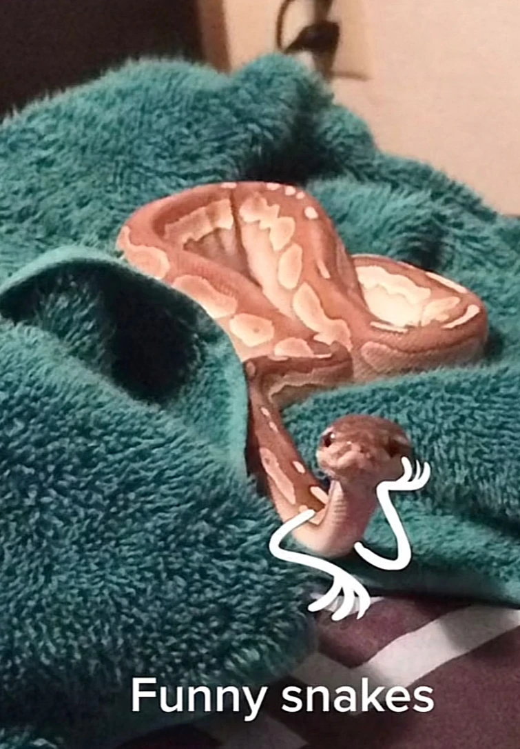 when ocs are a little too relatable | Fandom