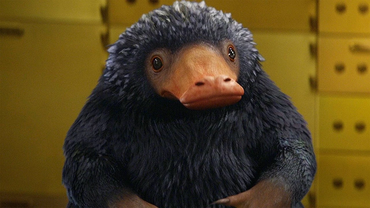 Adopt, Cuddle or Give? [HP Creatures 1.0] | Fandom