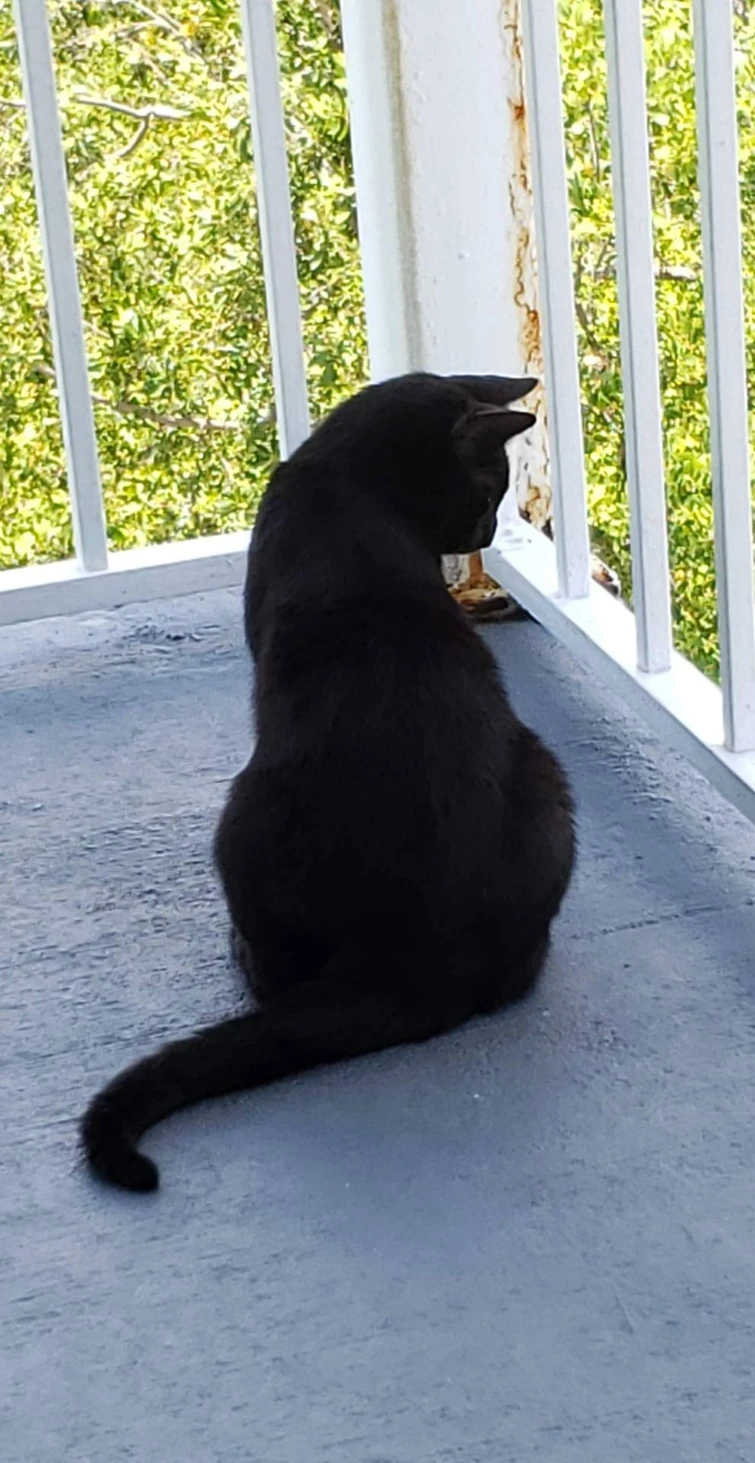 Oogley spoogley | Fandom