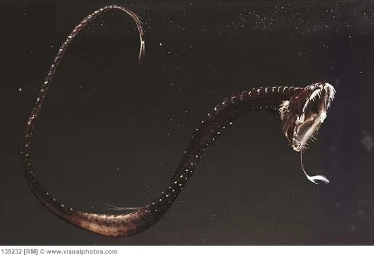 Look familiar? | Fandom