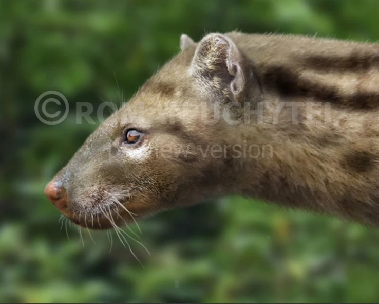 Walking with Beasts-Episode 1:The Age of Mammals | Fandom