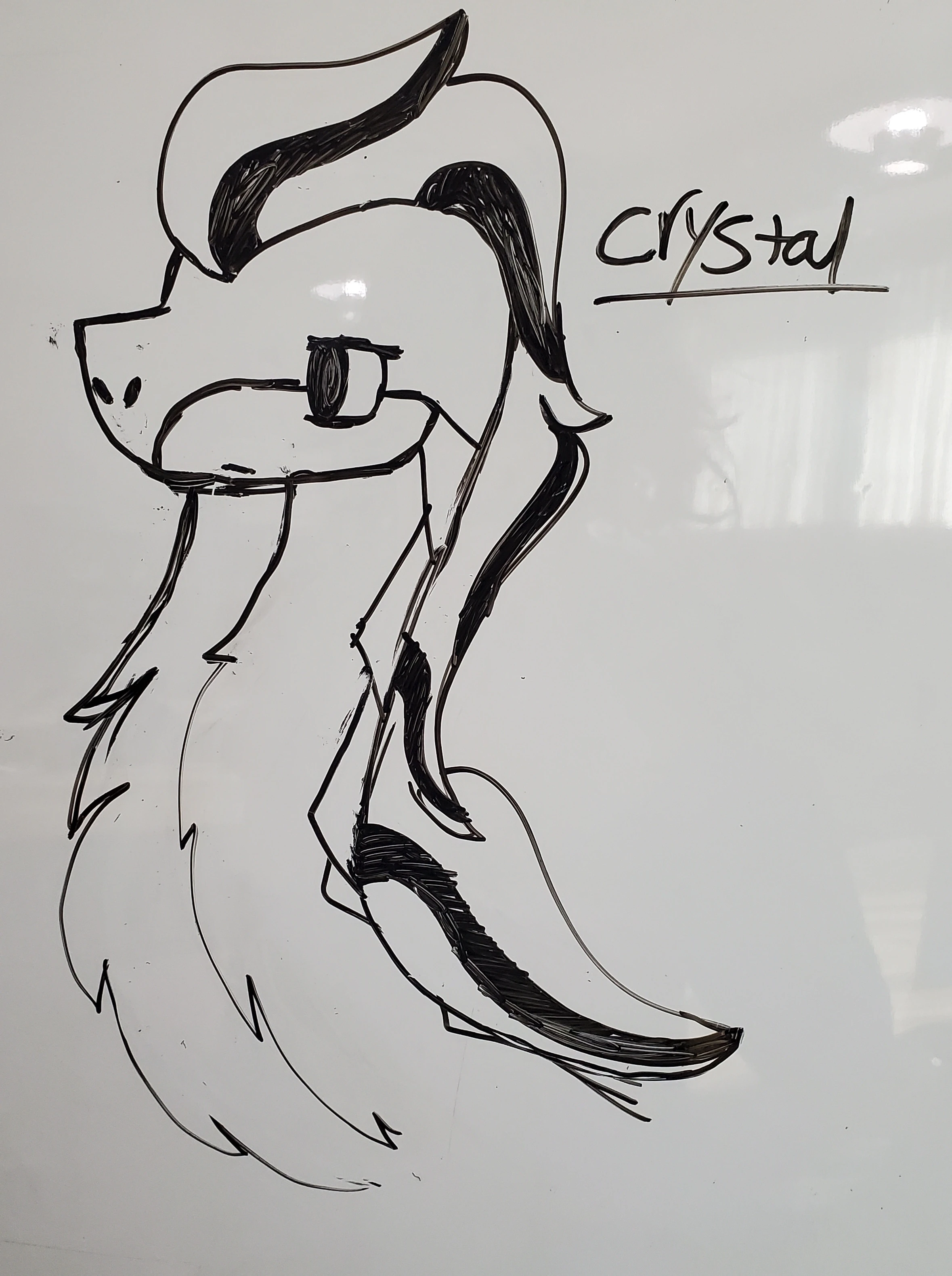 Crystal doodle! | Fandom