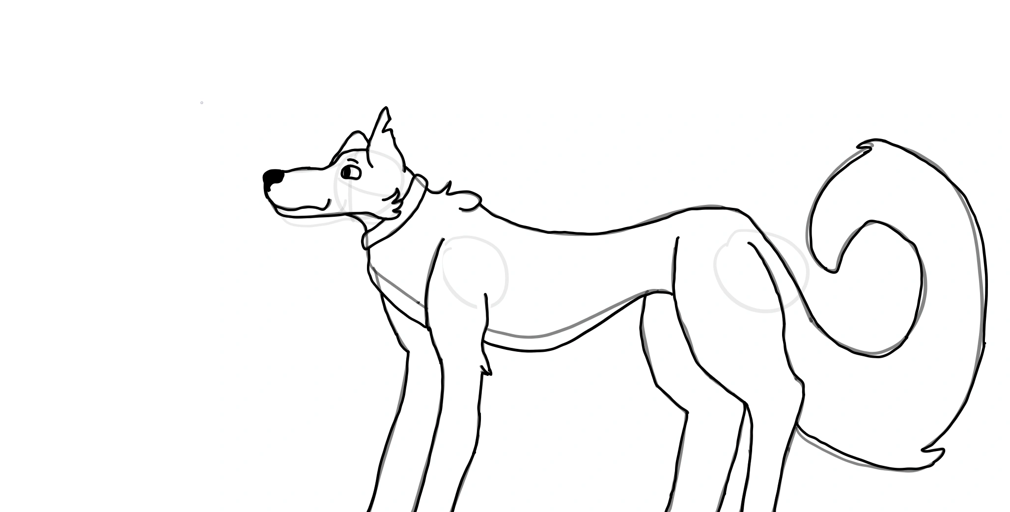 Dog/Wolf sketch/Drawing. | Fandom