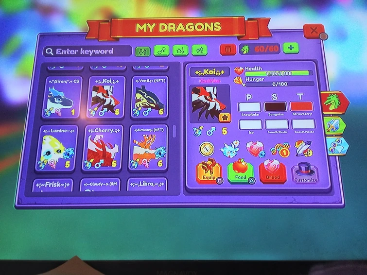 Discuss Everything About Dragon Adventures Wiki | Fandom