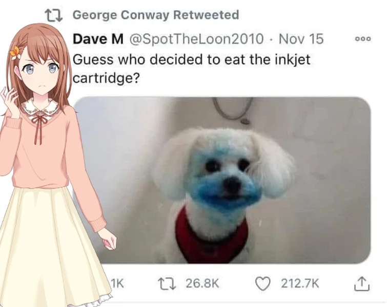 samo-chan ate the inkjet cartridge | Fandom