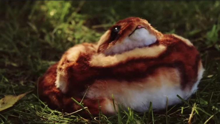 Just in case Someone is having a bad day… | Fandom