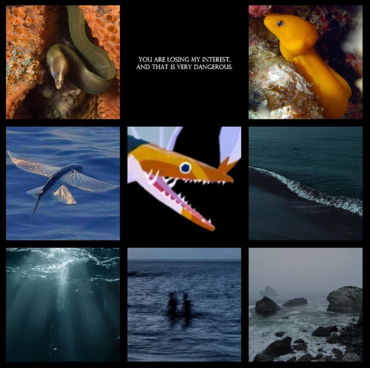 Ichthyophobia [day 7, aleicuda] | Fandom