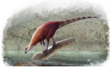 Discuss Everything About Dinopedia | Fandom