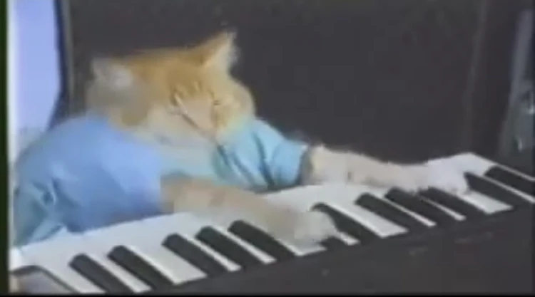Rip Keyboard cat | Fandom