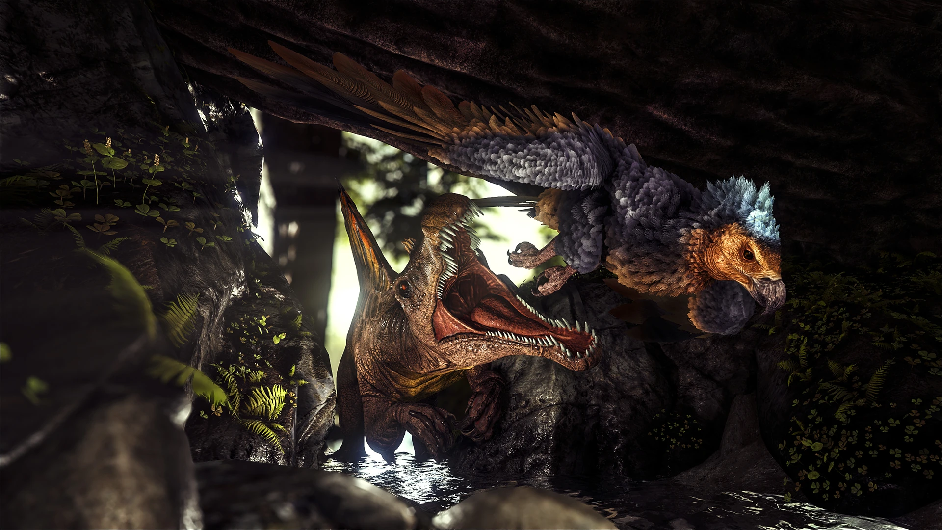 COINY RUN RUN COINY | Fandom