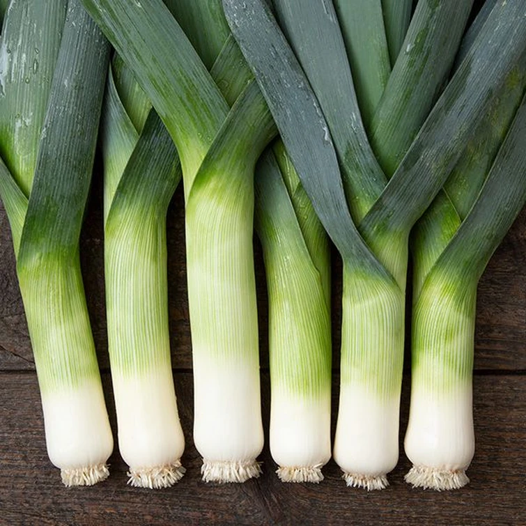 sign up to be the leek police PREVENT LEEKS | Fandom