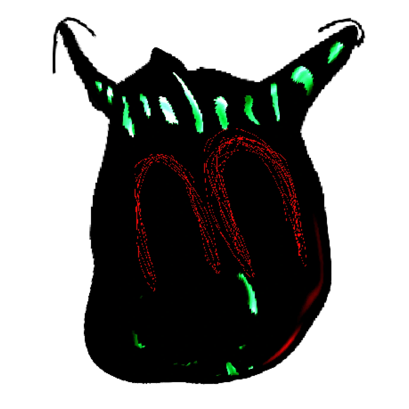 NIGHTMARE SAM REAL!!1!11!11! | Fandom