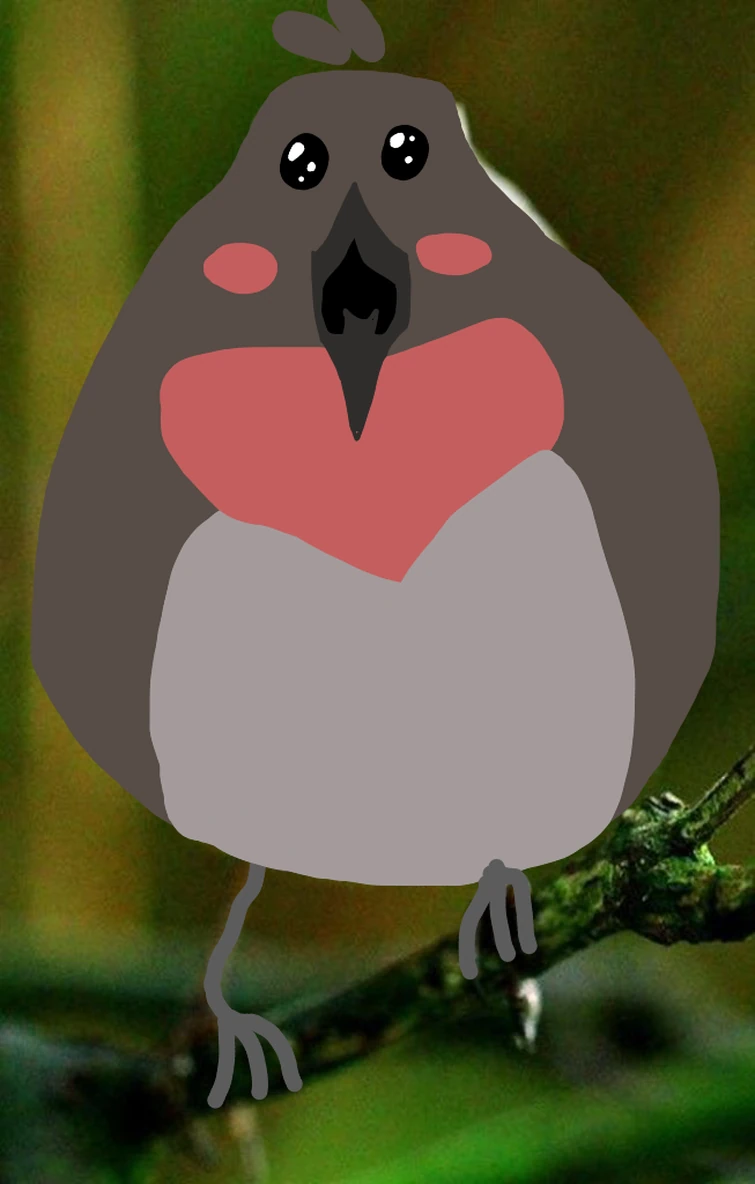 All posts by Sikuli | Fandom