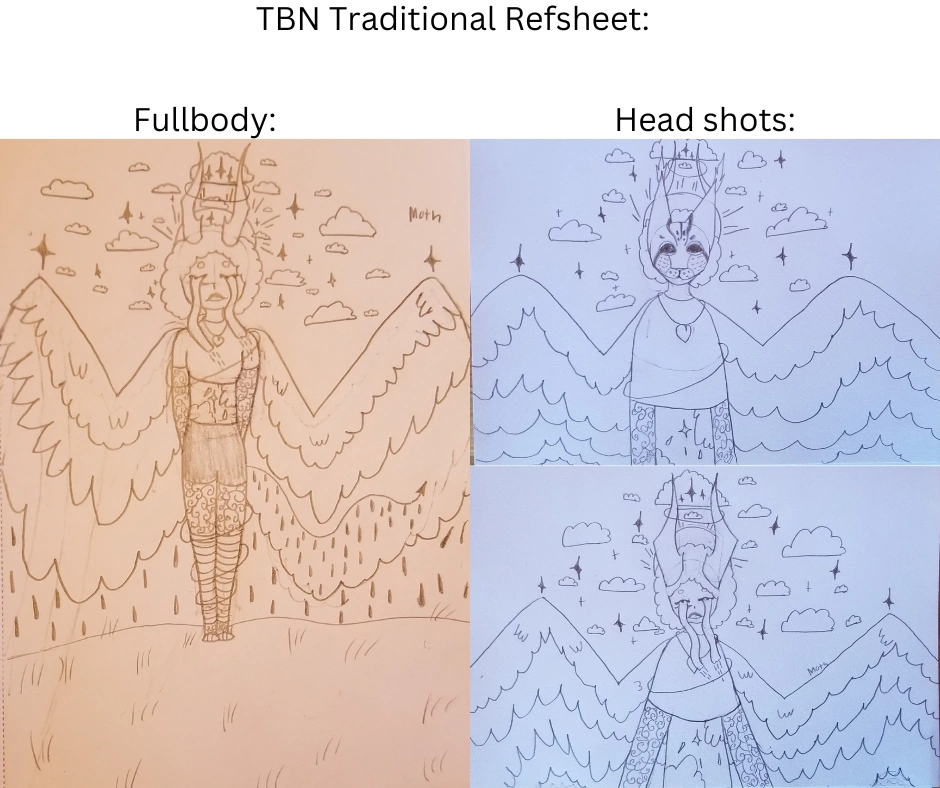 Finished their traditional ref sheet! | Fandom