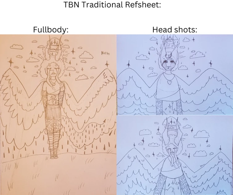 Finished their traditional ref sheet! | Fandom