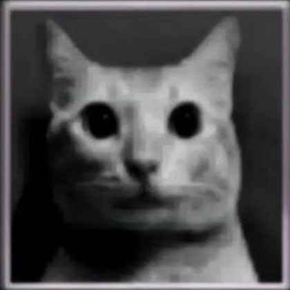 here's possible vhs cat's unedited image | Fandom