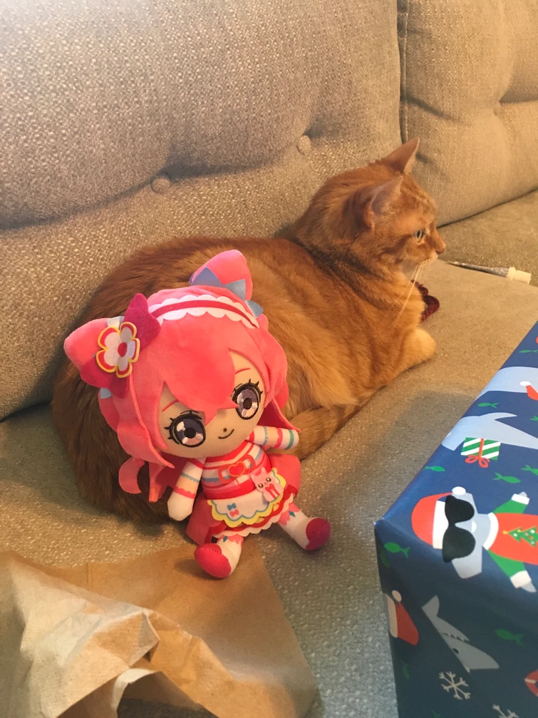 Discuss Everything About Pretty Cure Wiki | Fandom