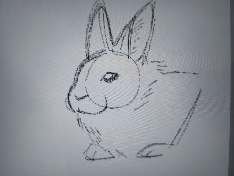 Drawing someone's favorite animal or Theriotype | Fandom