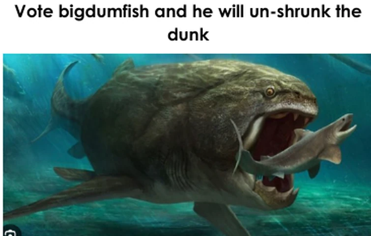 BigDumFish's Propaganda | Fandom