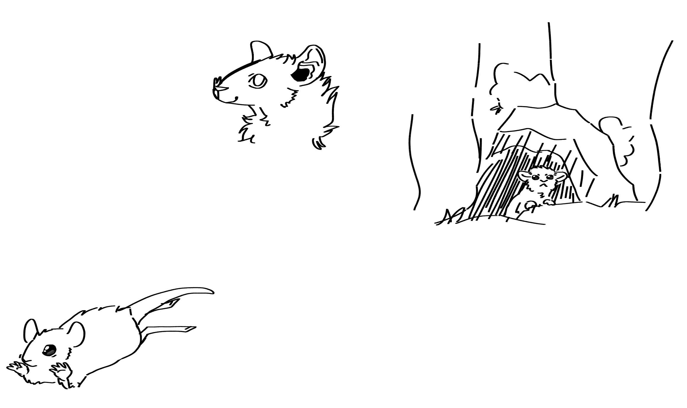 more rat doodles | Fandom