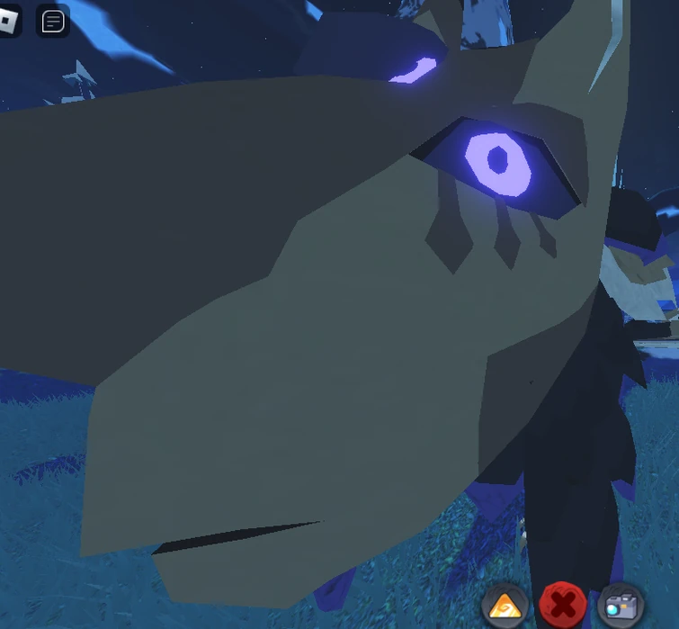 send the goofiest image of your favorite creature | Fandom