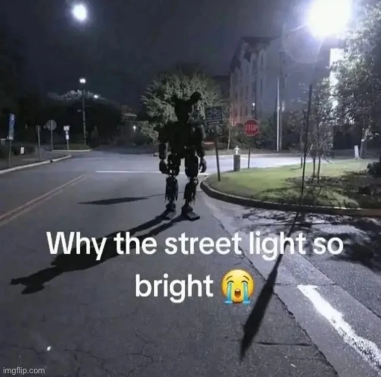 This is why light pollution is a thing fr | Fandom