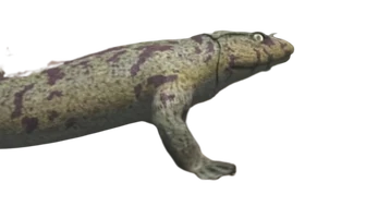 Ichthyostega (Temporal Horrors) | FC/OC VS Battles Wiki | Fandom