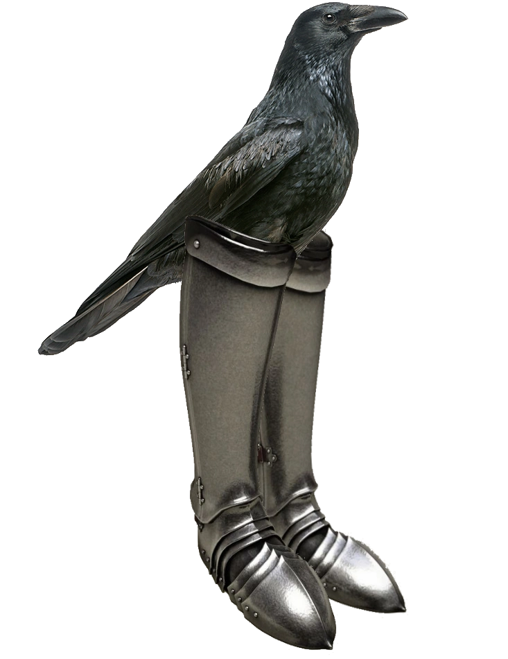 Sir Crow McCrow | FC/OC VS Battles Wiki | Fandom