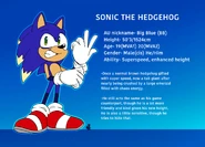 Sonic the Hedgehog (MVA AU) | FC/OC VS Battles Wiki | Fandom