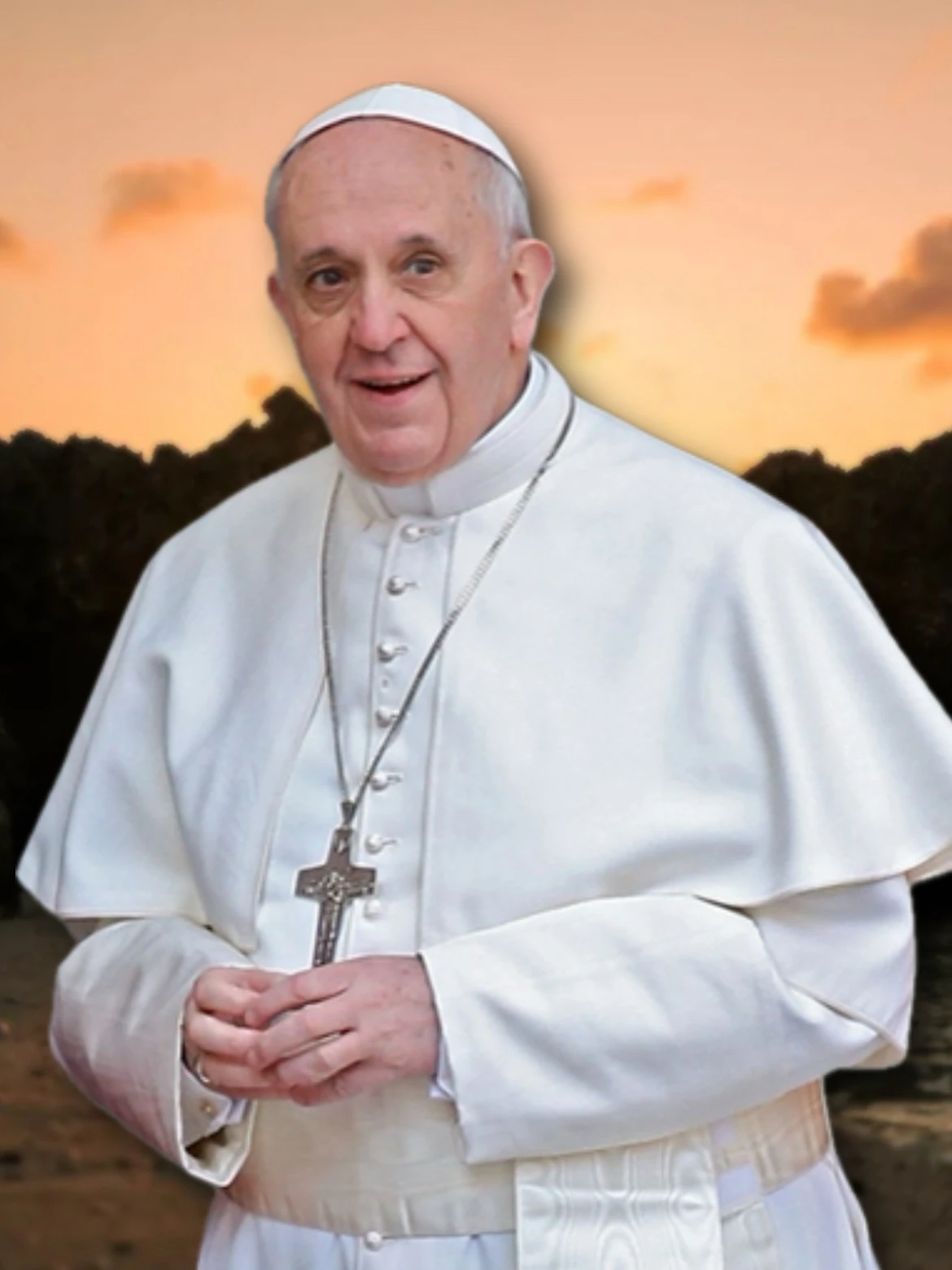 Pope Francis | Fctorspace Wiki | Fandom