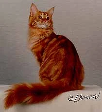 Rosepaw | FCU Wiki | Fandom