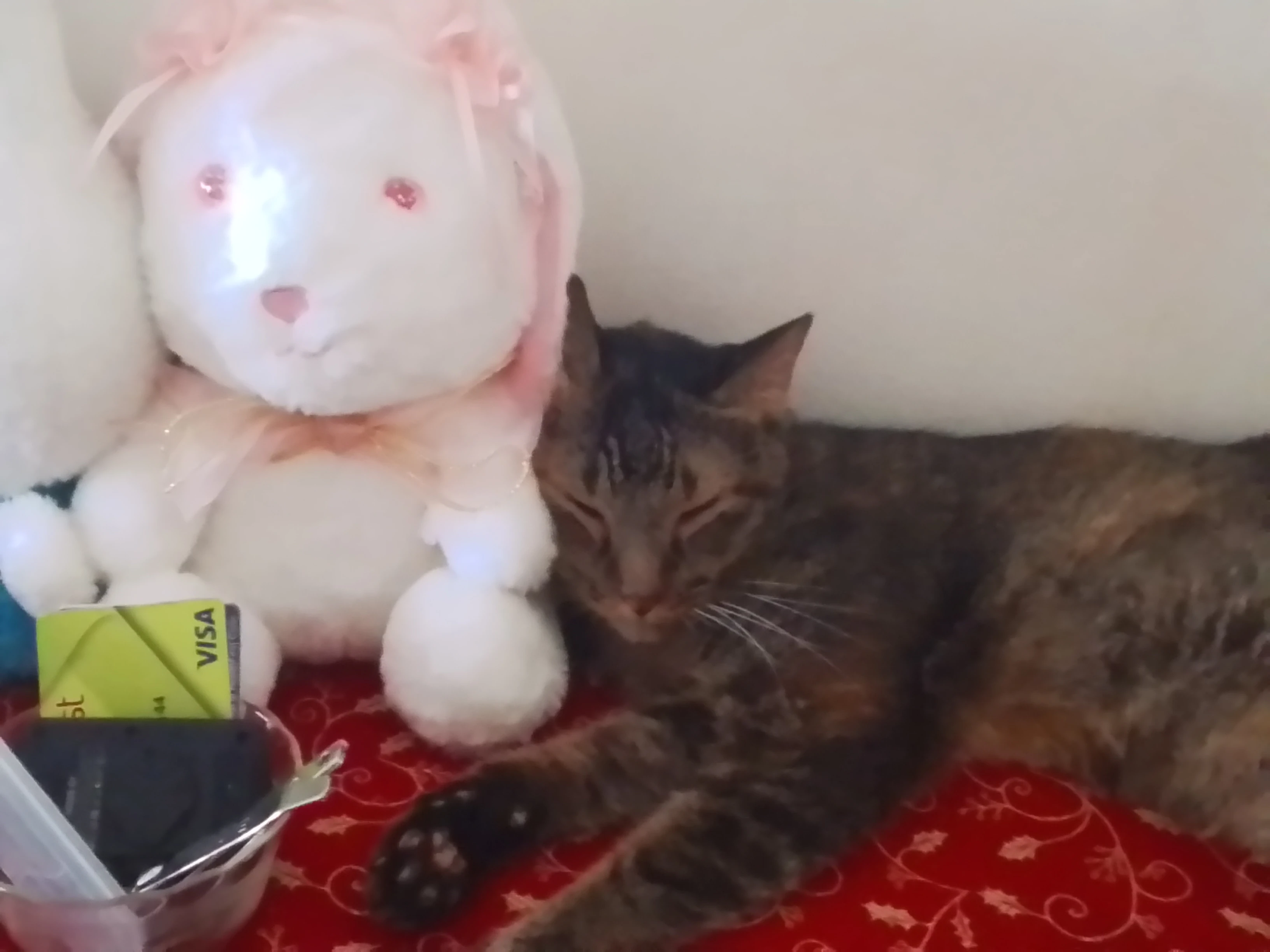 THIS. GODDAMN. CAT. | Fandom