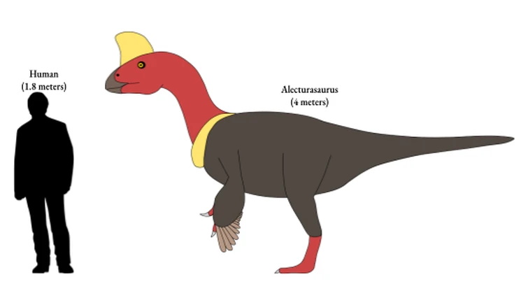 Discuss Everything About Dinopedia | Fandom