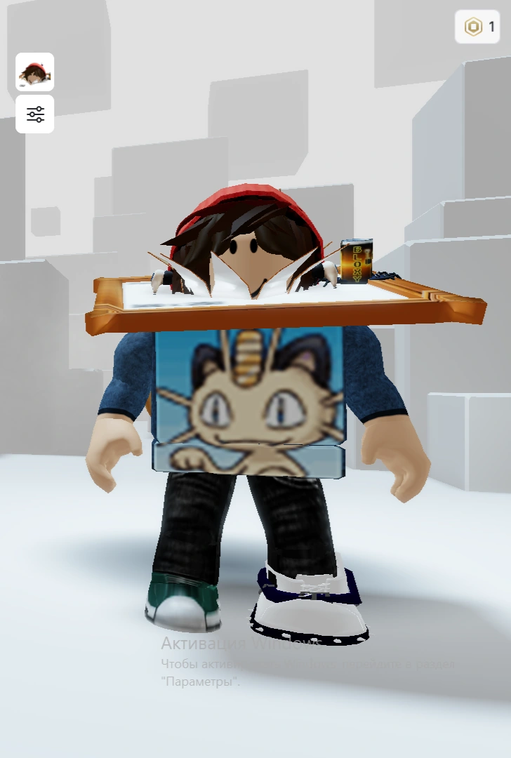 hey guys lets share our roblox usernames and skins | Fandom