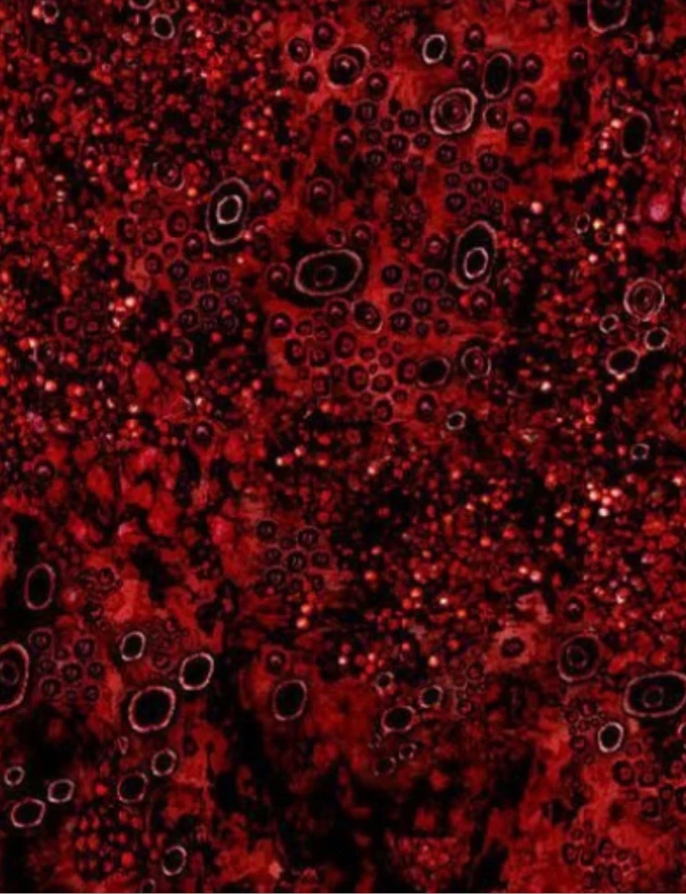 Phase 183 (CJ) remake | Fandom