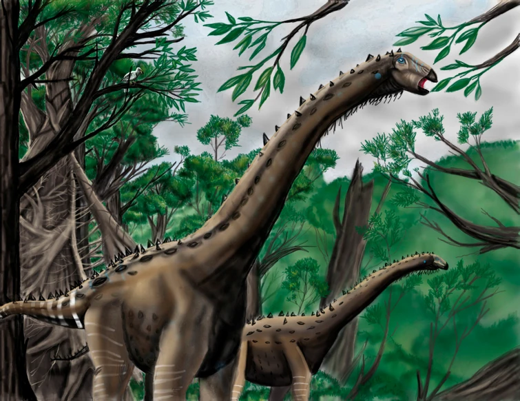 Animal that lives in the Jungle | Fandom
