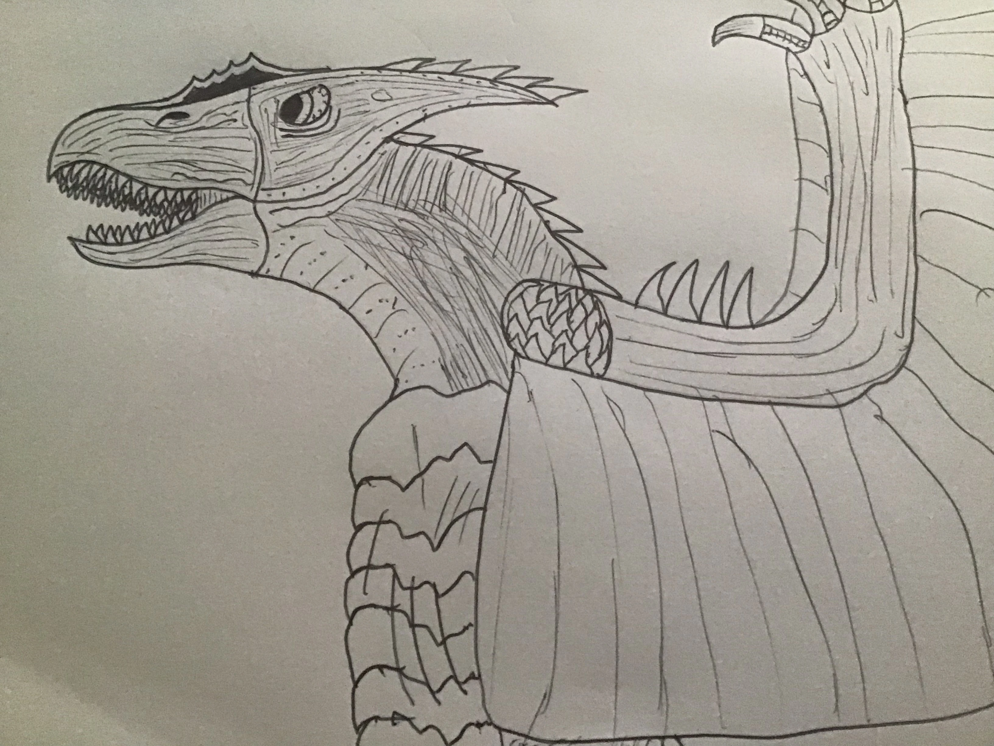 Rodan Drawing | Fandom