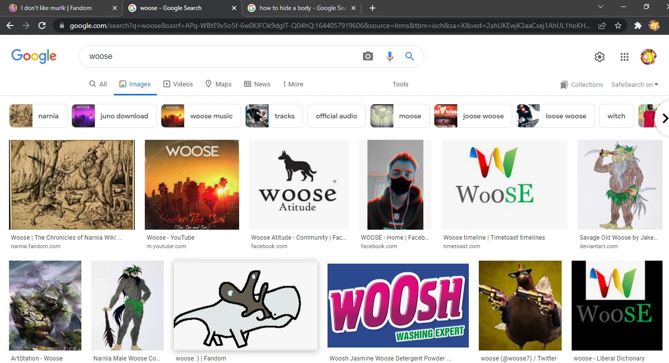 I searched woose on google and got a drawing I made | Fandom