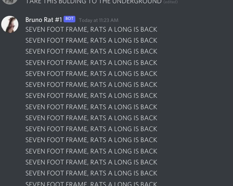 Bruno and his rats are taking over the world more than "It's not a ...