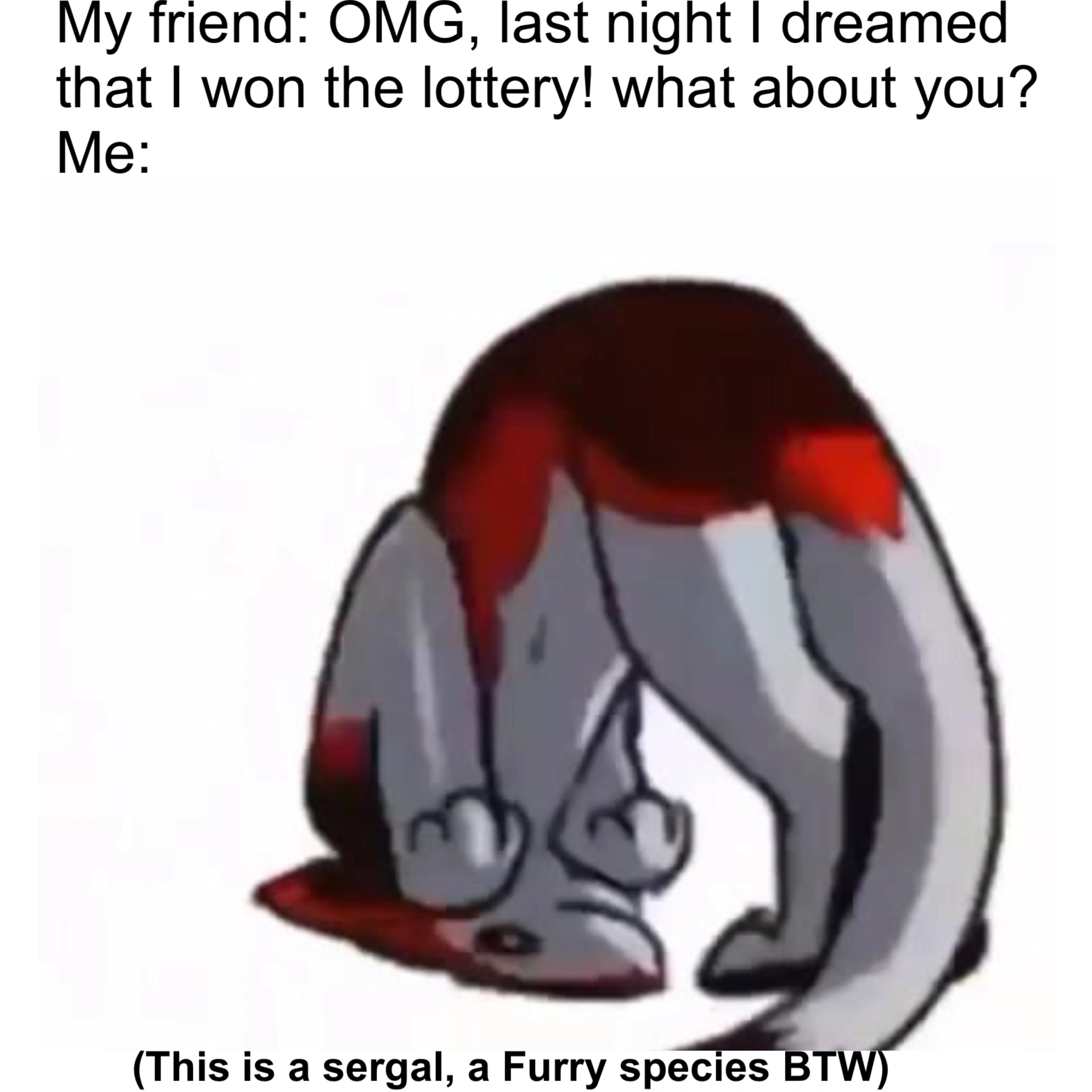 Sergal meme I made | Fandom