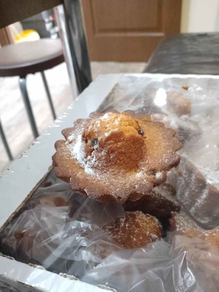 muffin time | Fandom