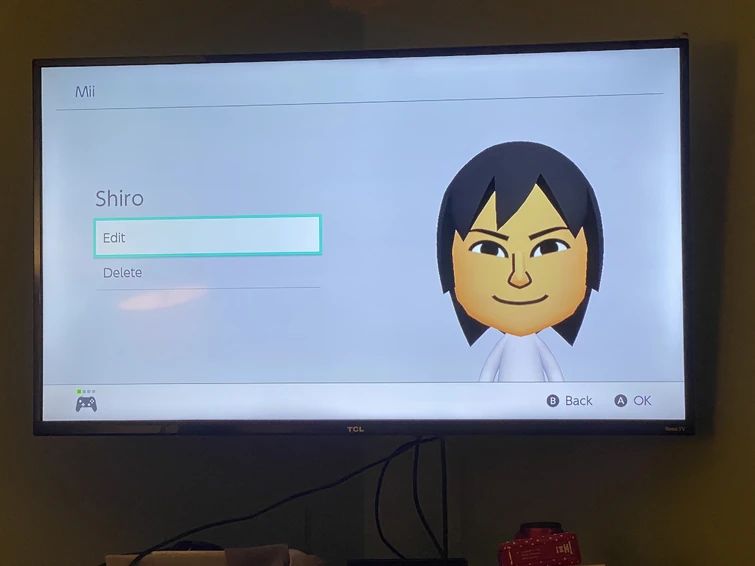 Mistake regarding my twin Custom CPU Mii's | Fandom