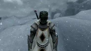 Pelinal Whitestrake vs Tadano Hitonari | Fandom